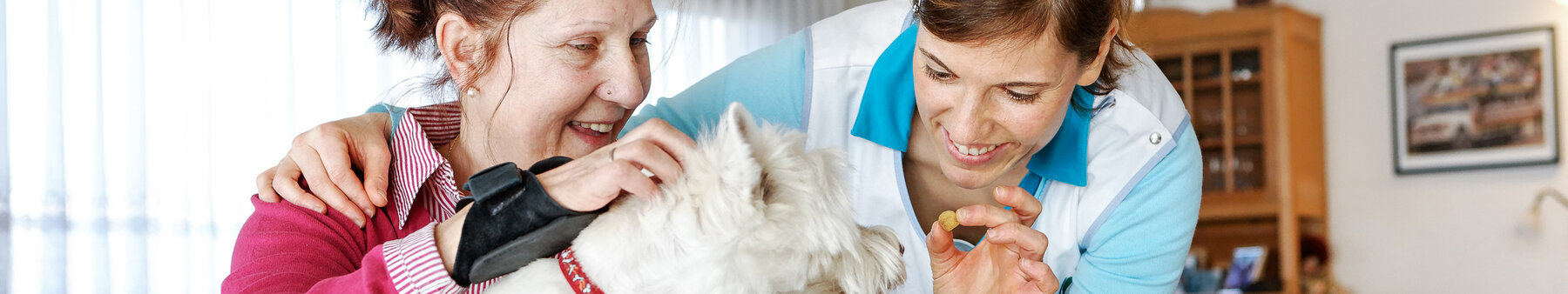 Spitex Meggen - Organisation - Freiwilligenarbeit